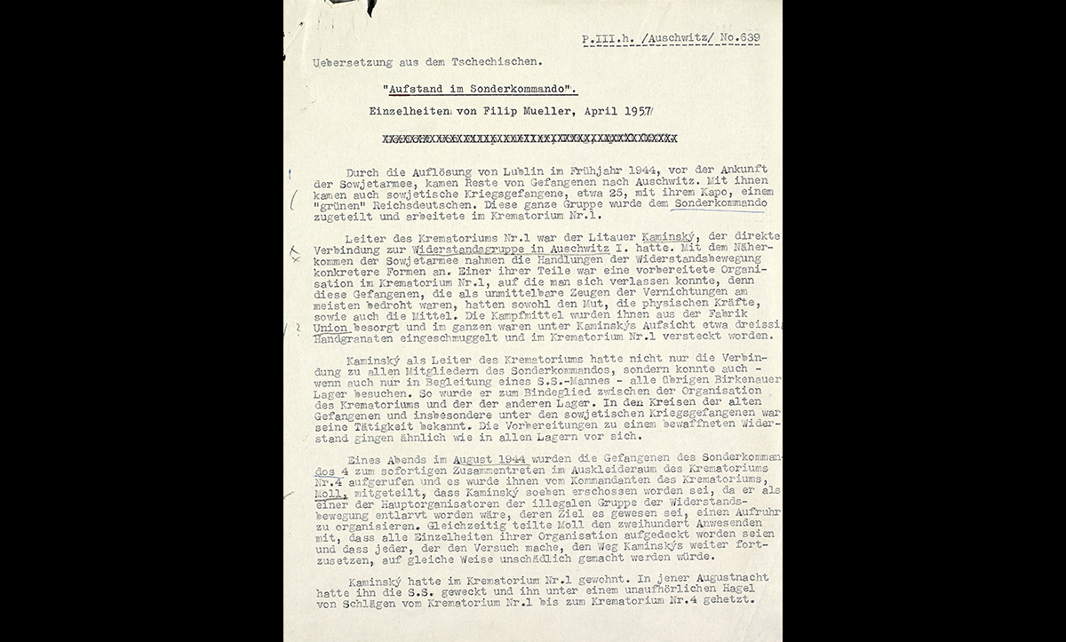 Jewish Resistance – The Holocaust Explained: Designed for schools