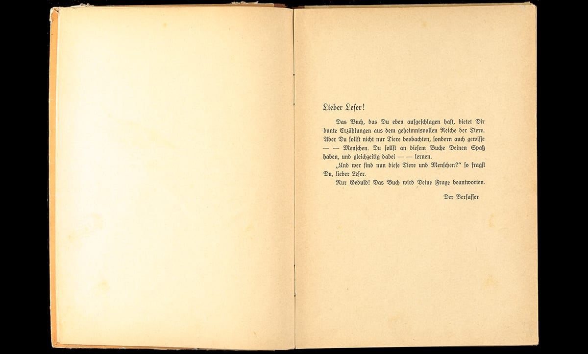 Nazi Propaganda – The Holocaust Explained: Designed for schools